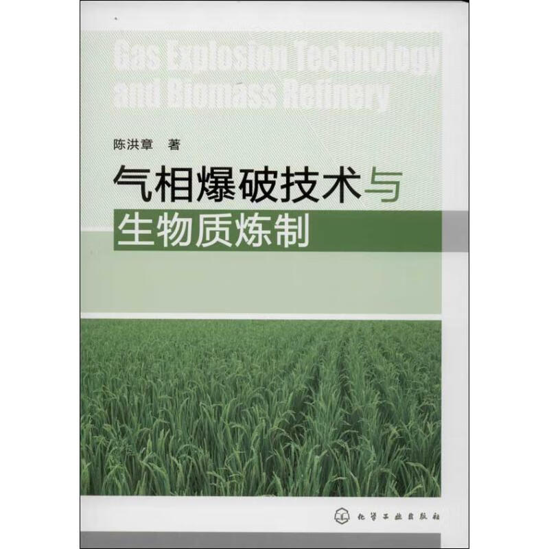气相爆破技术与生物炼制