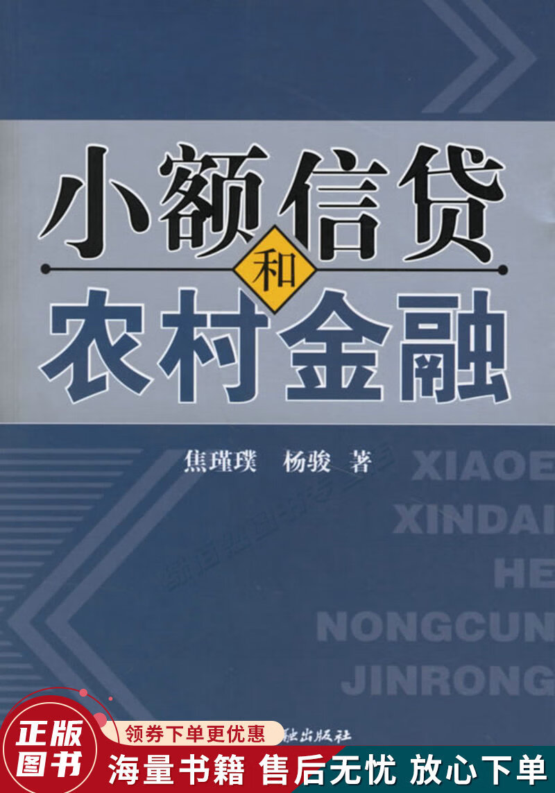 小额信贷和农村金融