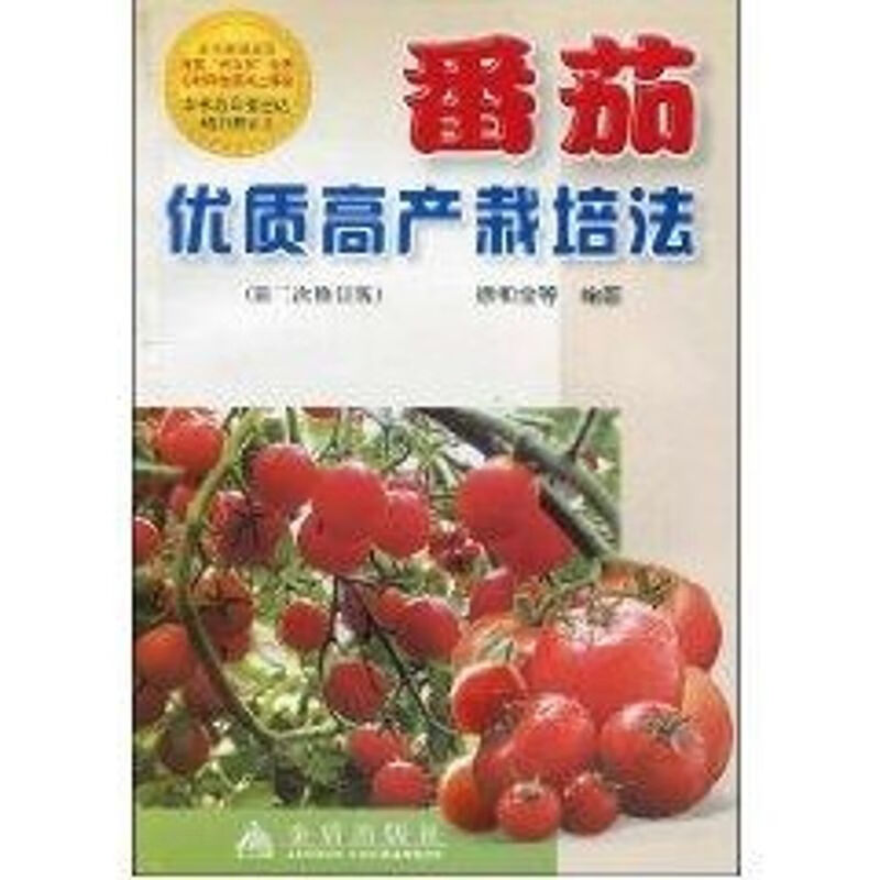 番茄优质高产栽培法