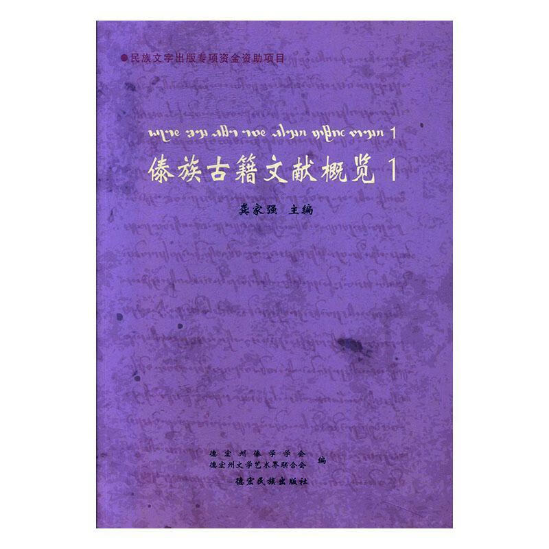 傣族古籍文献概览1历史 图书