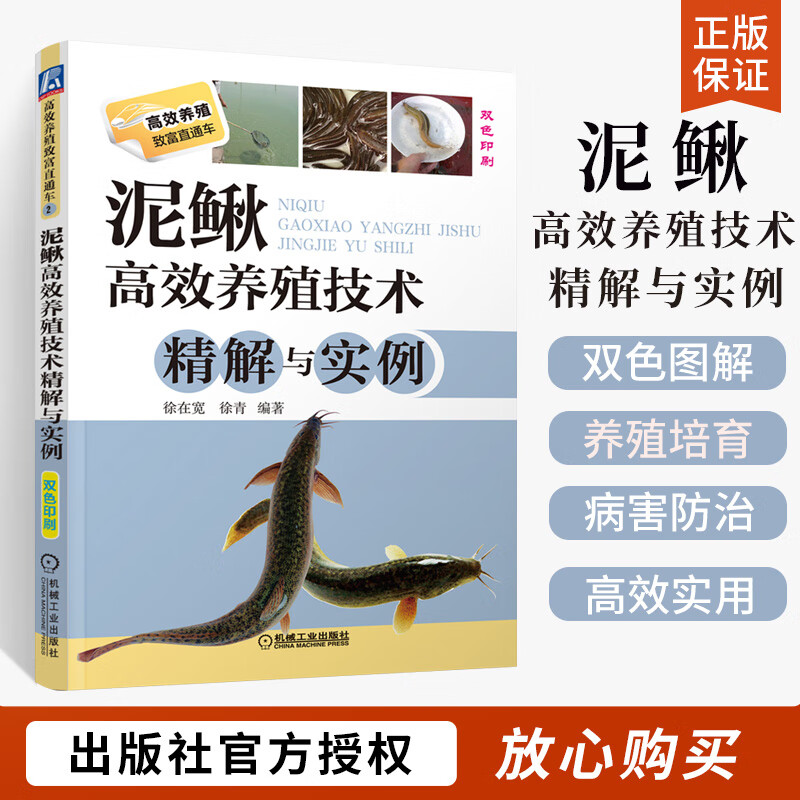 泥鳅高效养殖技术精解与实例(双色印刷) 养泥鳅技术书养殖技术书籍大全 农业科学水产养殖技术教程 泥鳅标准化高密度人工养殖技术