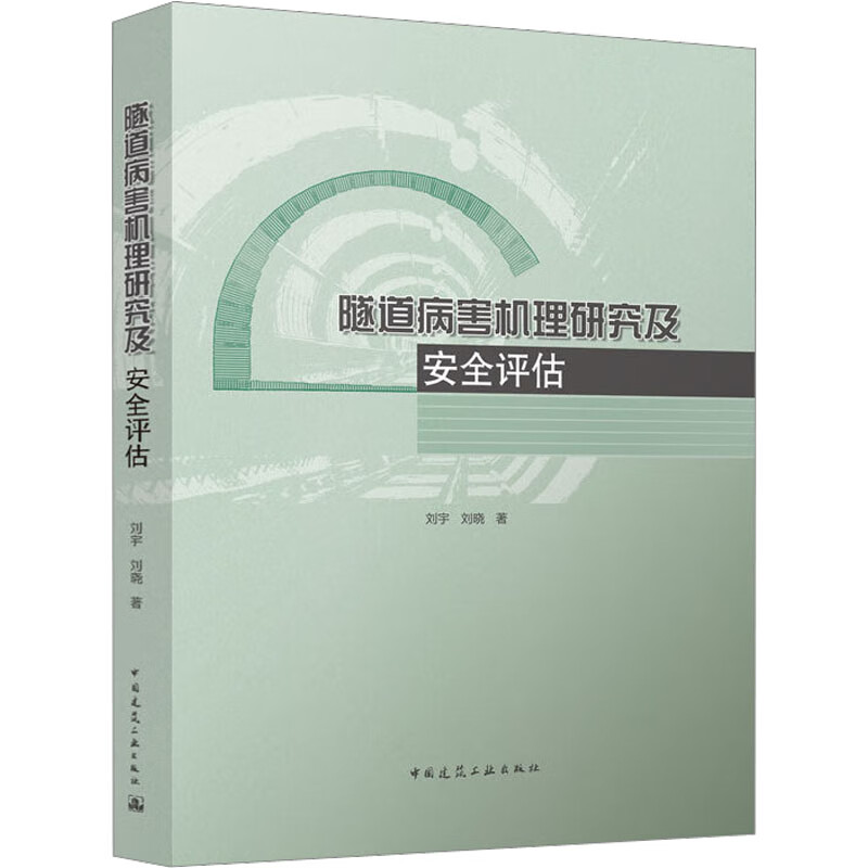 隧道病害机理研究及安全评估 刘宇,刘晓 书籍 图书