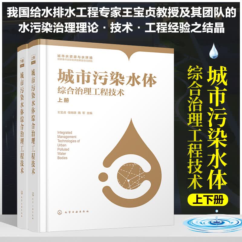城市污染水体综合治理工程技术上下册 城市污染水体治理 地下深层隧道储存CSO SSO排水系统 城市排