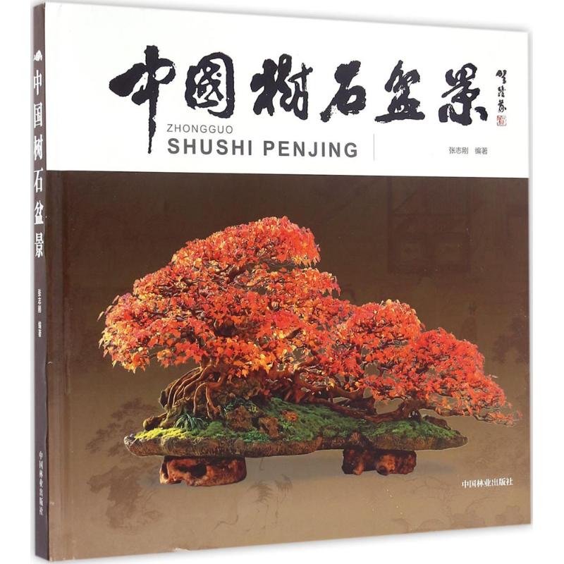 中国树石盆景