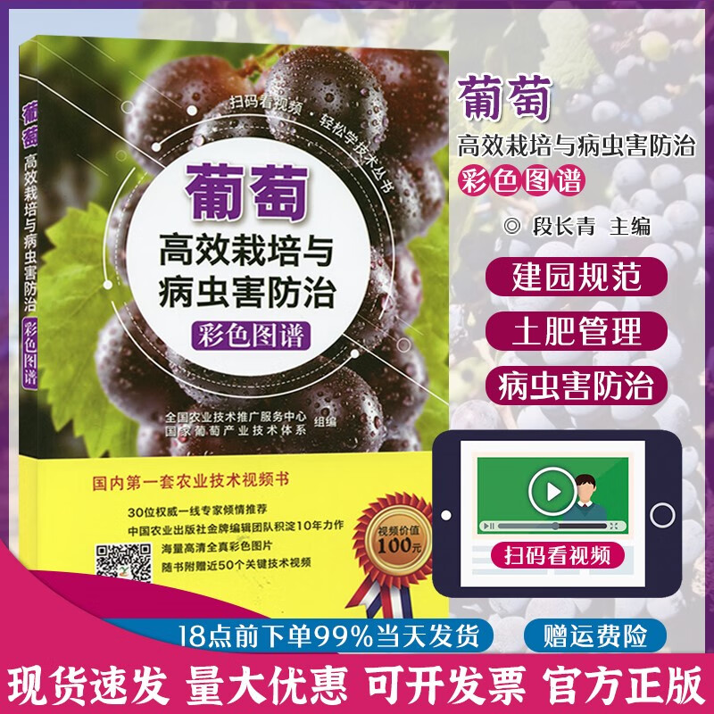 葡萄高效栽培与病虫害防治彩色图谱/扫码看视频.轻松学技术丛书