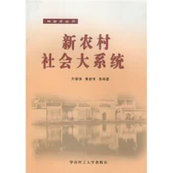 新农村社会大系统 向安强 著 9787562325284