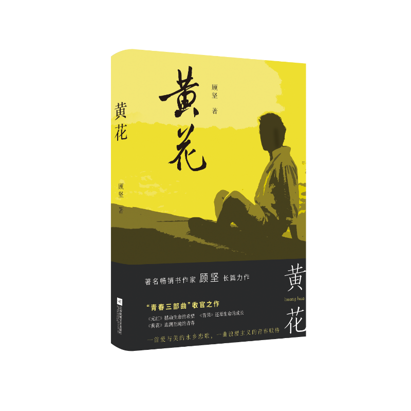 黄花 顾坚