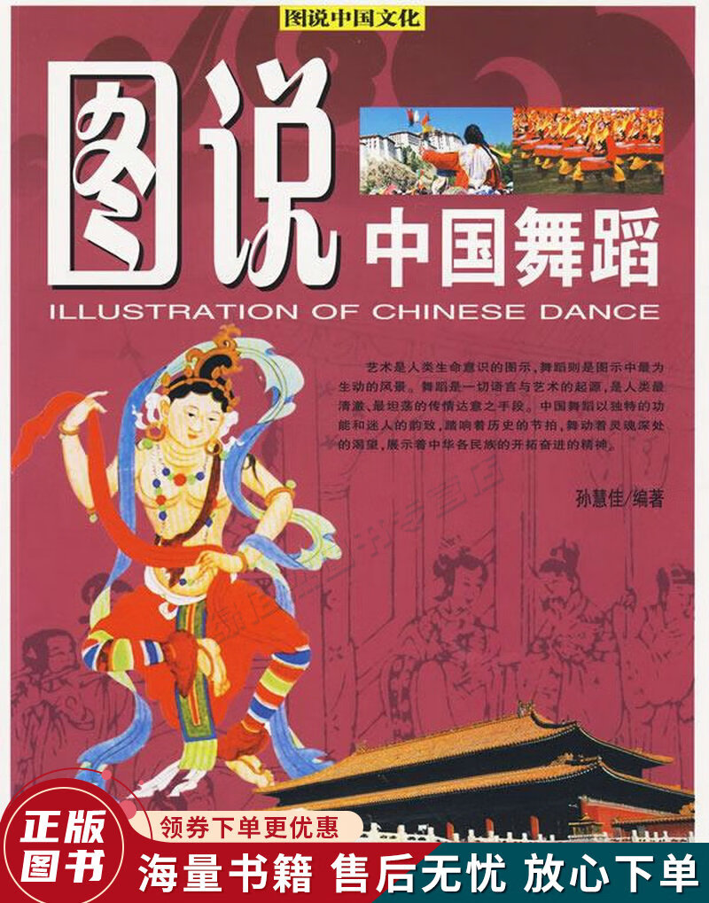 图说中国艺术：图说中国舞蹈
