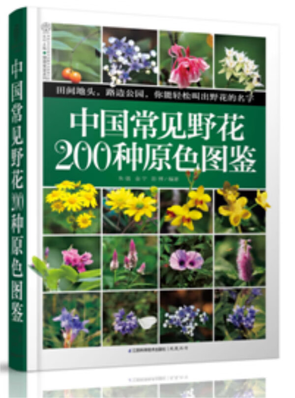中国常见野花200种原色图鉴（汉竹）9787553703572【，放心购买】
