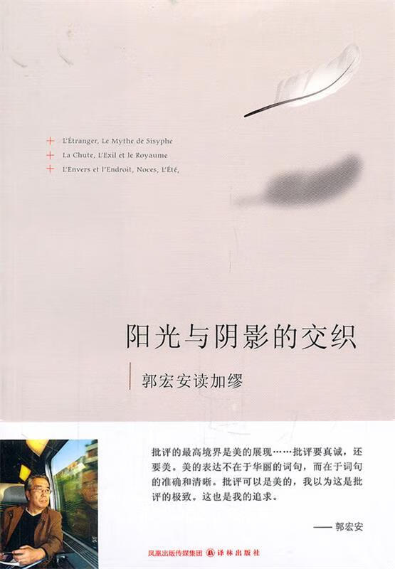 阳光与阴影的交织 郭宏安 著