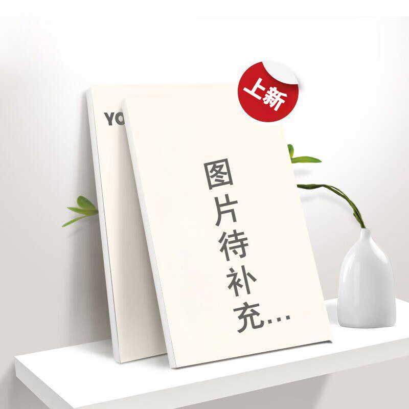 台版《让全世界认识宫崎骏 》一个外国人在吉卜力工作室的回忆 行人 史提夫艾伯特 日美商业电影文化日本动画电影艺术书籍