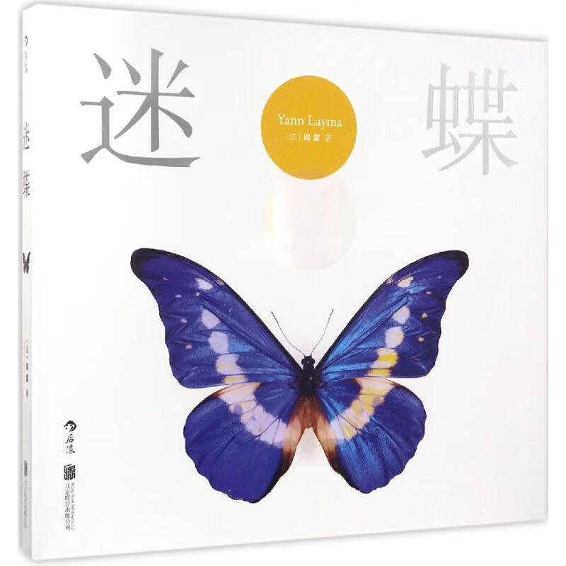 迷蝶