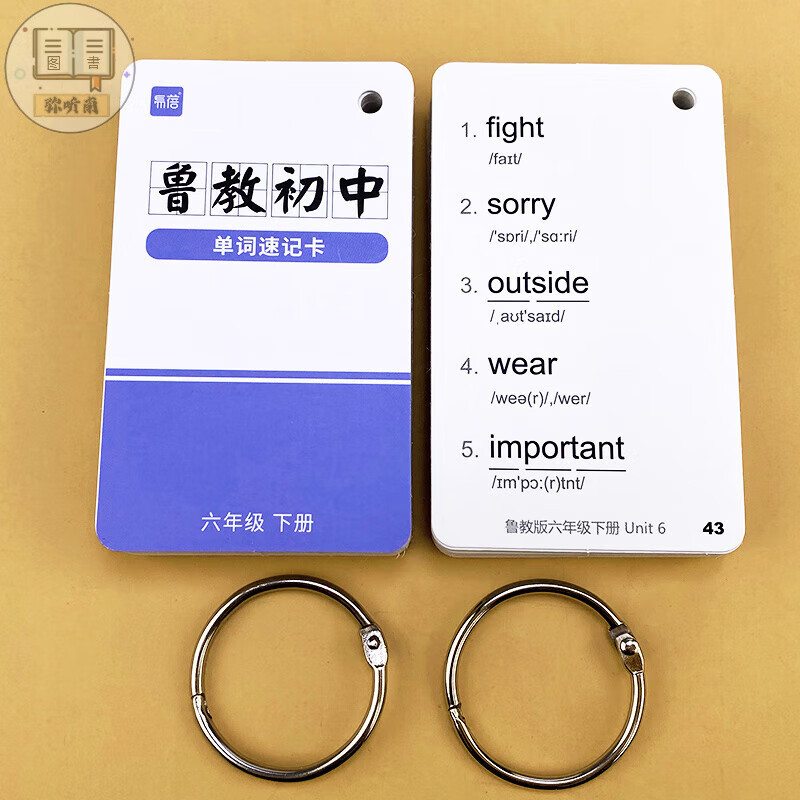 鲁教版单词卡片六七八单词卡片闪卡速记卡片打孔 鲁教版六年级下册