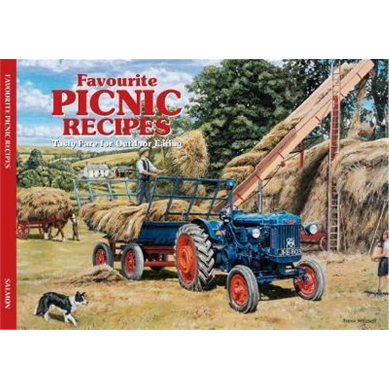 Salmon Favourite Picnic Recipes