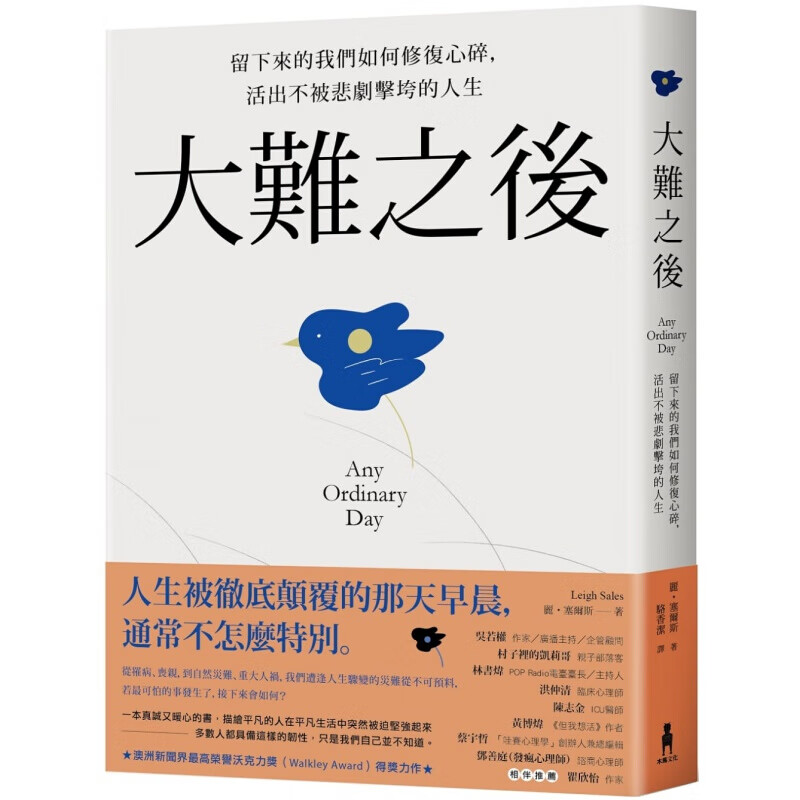 台版 大难之后 留下来的我们如何修复心碎活出不被悲剧击垮的人生 丽塞尔斯 木马文化