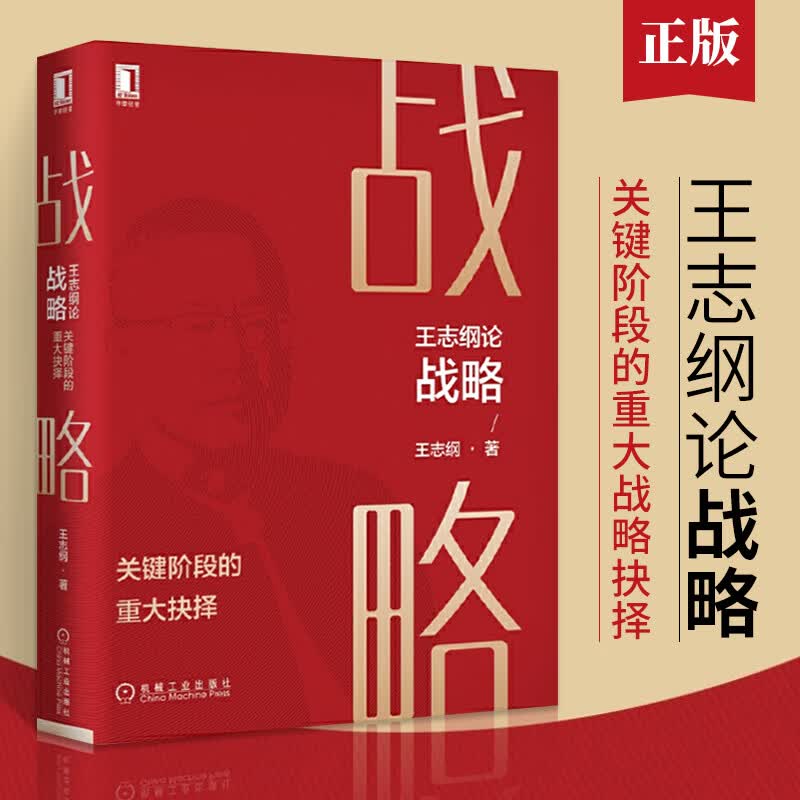 王志纲论战略 关键阶段的重大抉择 王志刚战略书籍企业管理战略地图 认知战略分析战略制定战