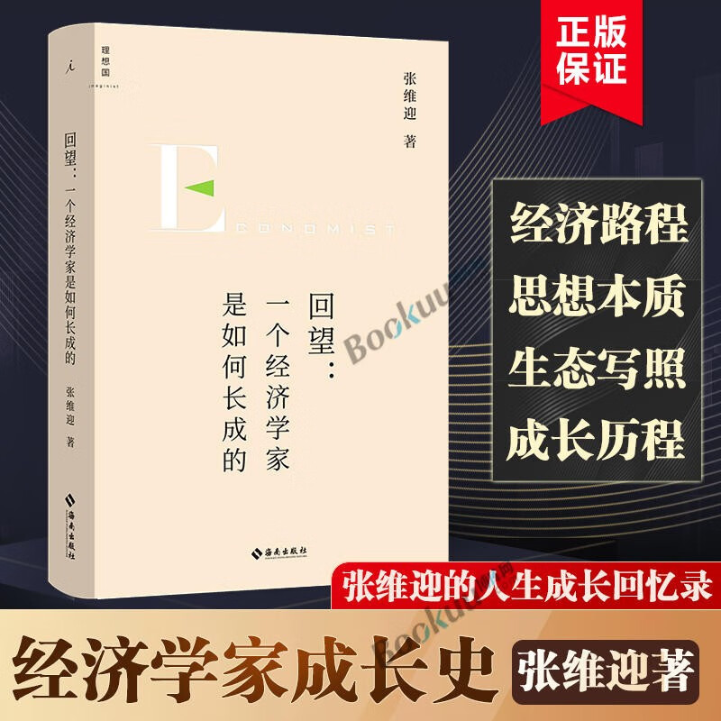 回望：一个经济学家是如何长成的 新书