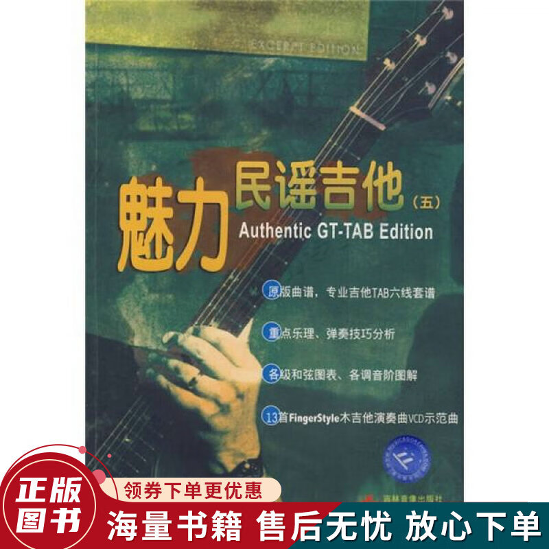 魅力民谣吉他5