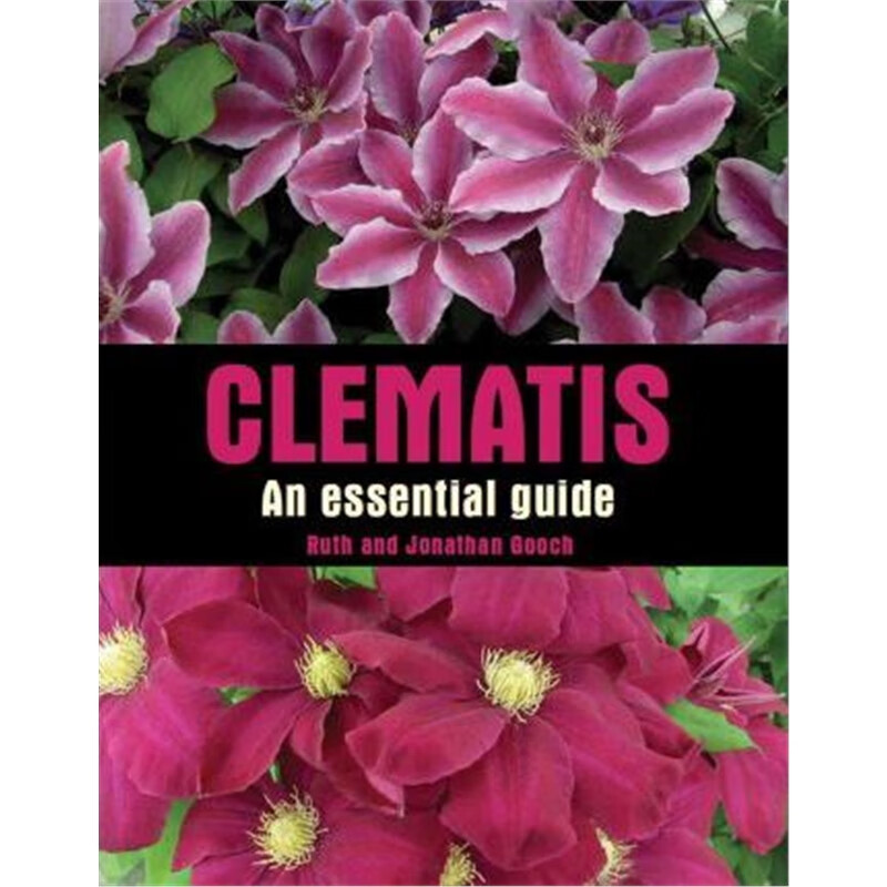 Clematis: an Essential Guide