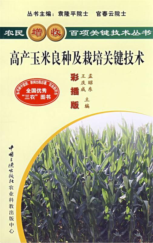 高产玉米良种及栽培关键技术