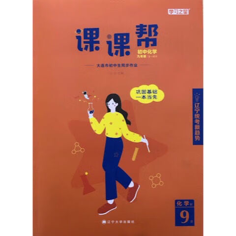 2024版辽宁大连课课帮九年级全一册语文数学英语物理化学初中同步 化学全一册（人教版）