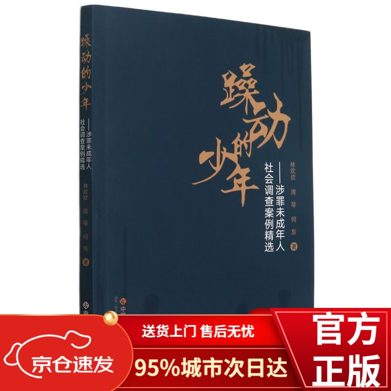躁动的少年--涉罪未成年人社会调查案例精选
