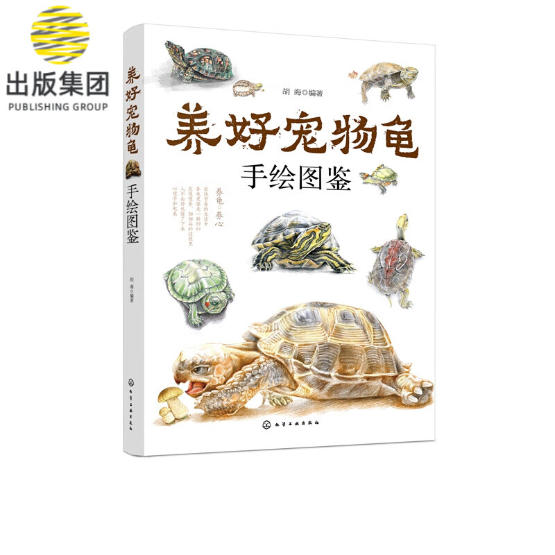 养好宠物龟手绘图鉴