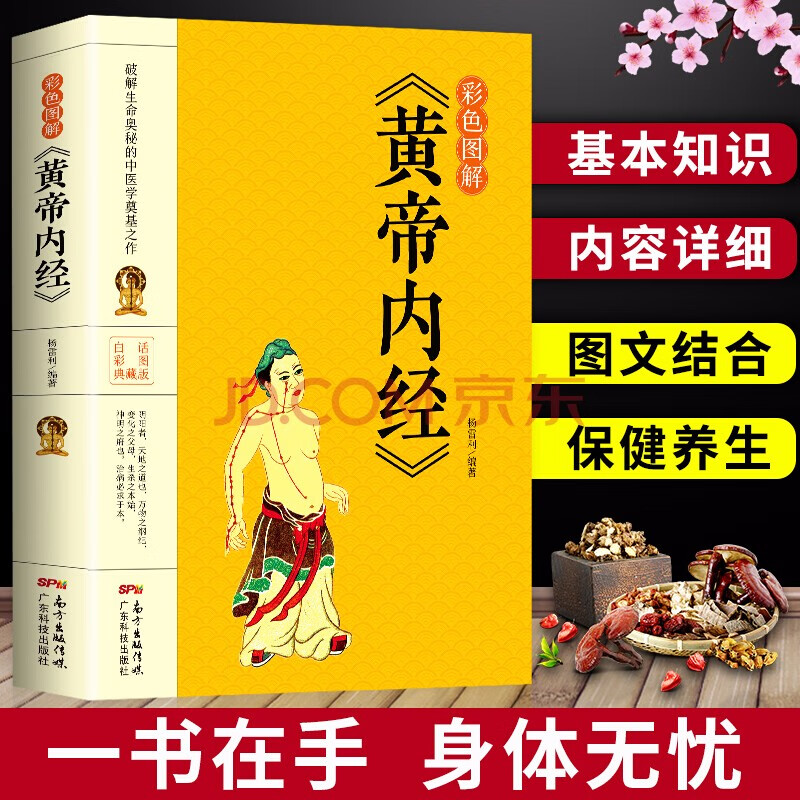 彩色图解版黄帝内经 全新 皇帝内经中医书籍基础理论养生大白话版素问入门图解全注全译养生的书籍