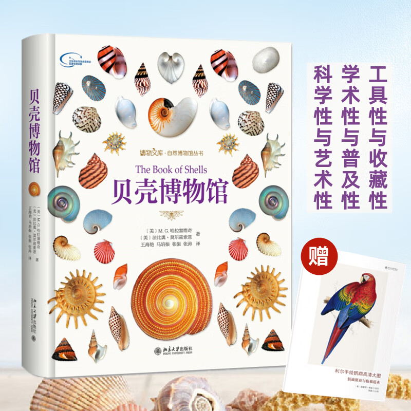 贝壳博物馆