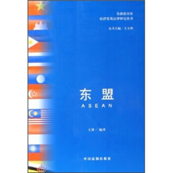 东盟 王泽 著