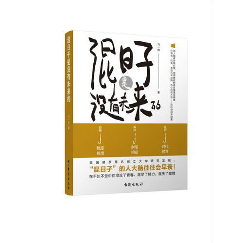 混日子是没有未来的9787516821442