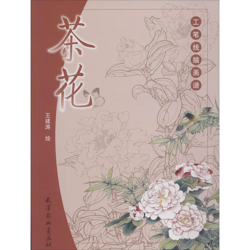 茶花 王建涛