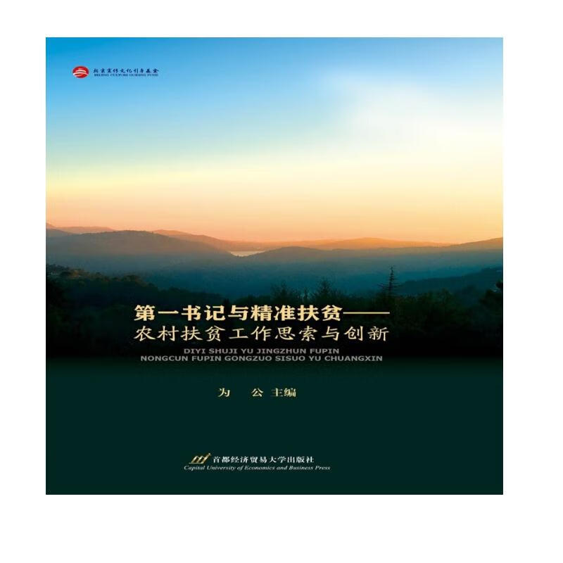 第一书记与精准扶贫：农村扶贫工作反思与创新
