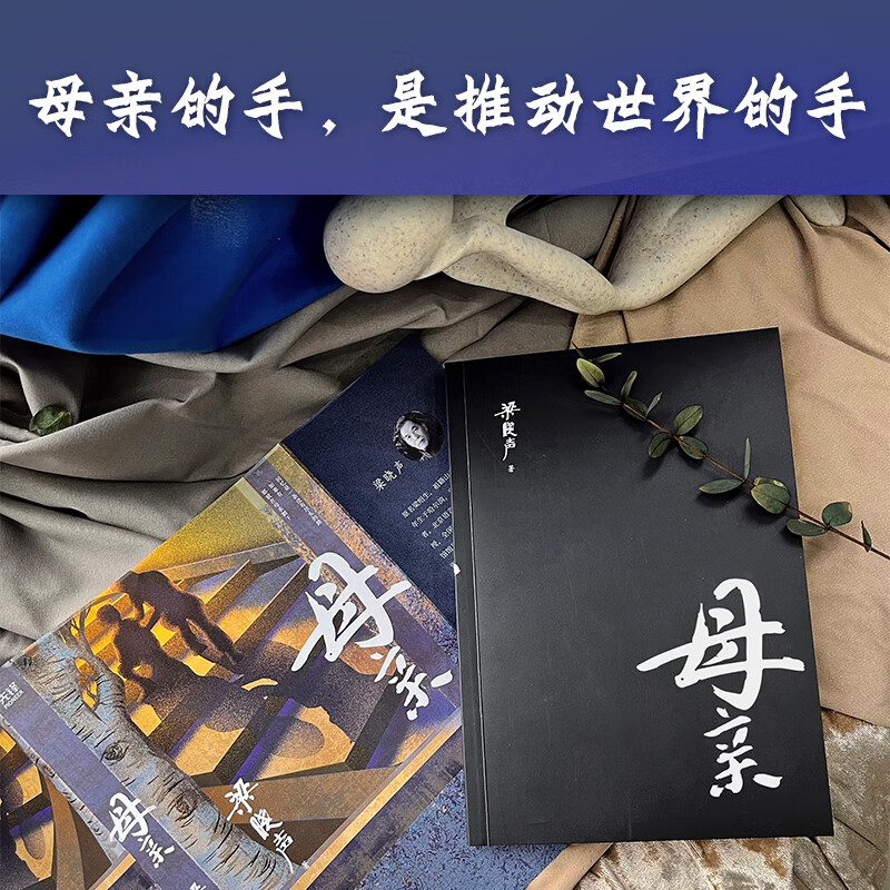 现货】母 茅盾文学奖得主 电视剧《人世间》原著作者梁晓声 中国式母的平凡与伟大 逆境中的乐观坚 新华先锋