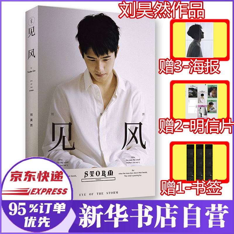 【赠海报+书签+明信片】见风 刘昊然 新书  自营