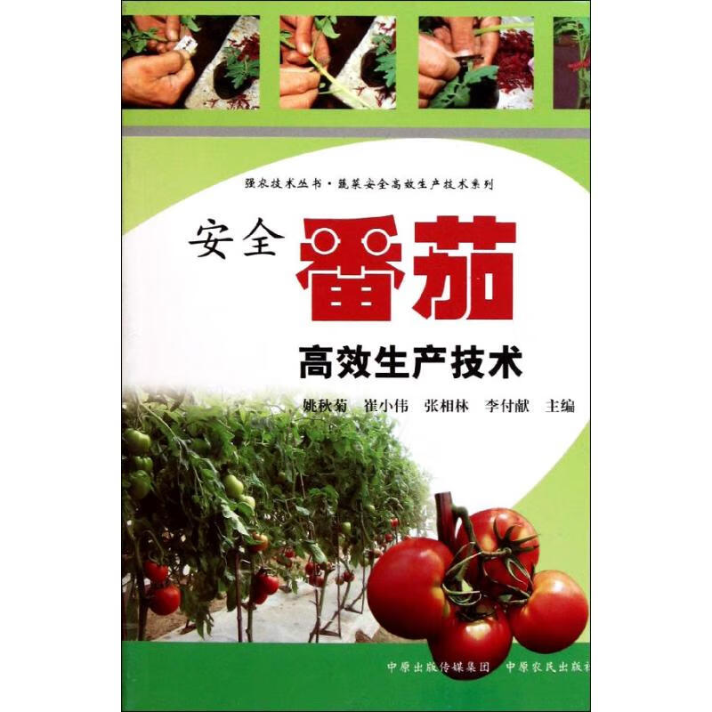 安全番茄高效生产技术