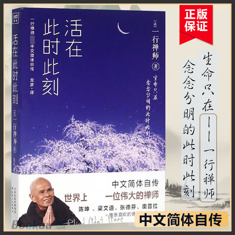 活在此时此刻一行禅师修行手记一本教你活出生命意义的灵性之书讲述一行禅师真实的生活经历心灵励志 历心灵励志