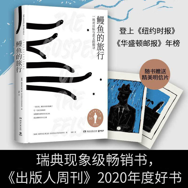 鳗鱼的旅行(精)帕特里克.斯文松处女作 外国文学散文随笔书信集父子亲情人性小说
