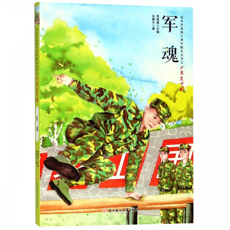 军魂/改革开放四十周年献礼丛书