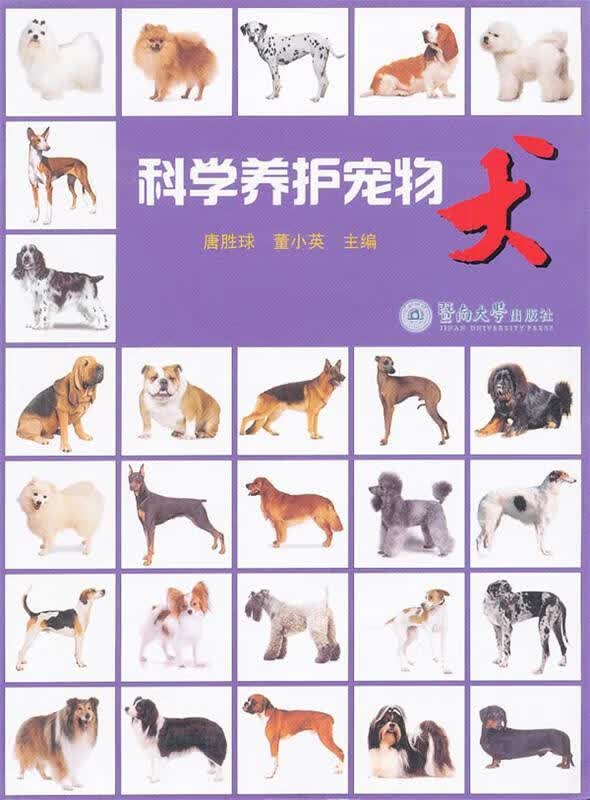 科学养护宠物犬