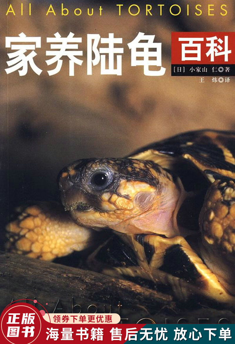 家养陆龟百科