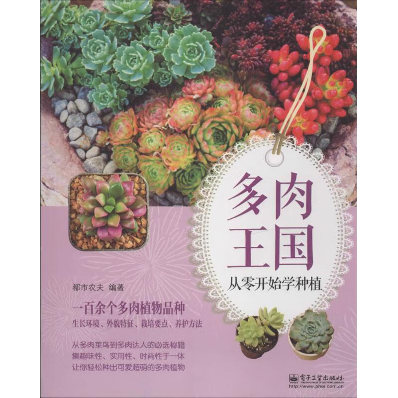 多肉王国