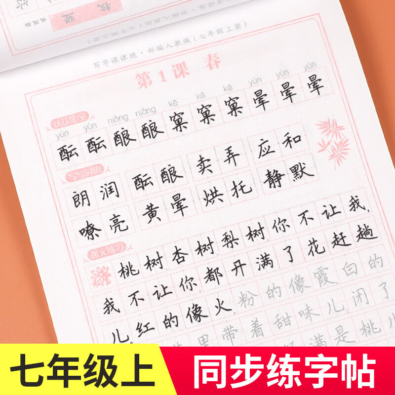 七年级上册同步字帖 写字课课练初中生人教版语文练字帖正楷硬笔书法练字写字本天天练中学生钢笔楷书生字词 语文 七年级/初中一年级