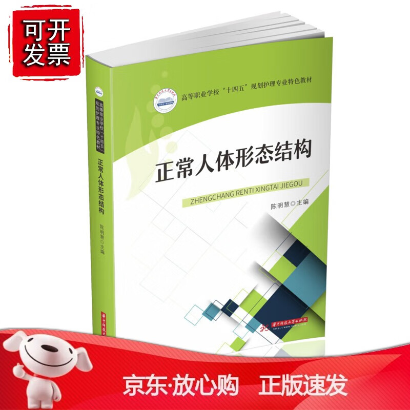 正常人体形态结构