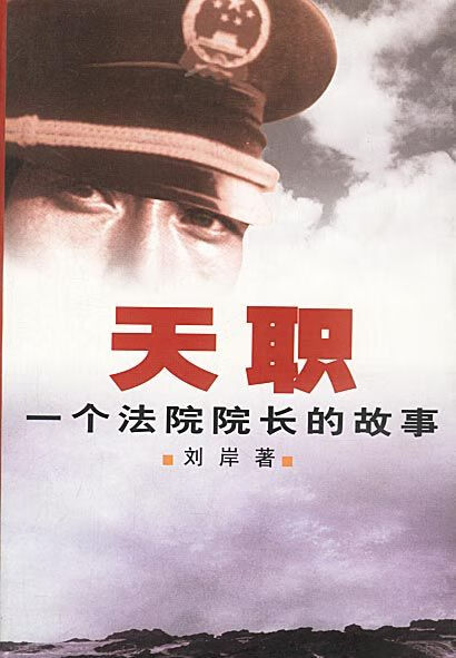 天职一个法院院长的故事