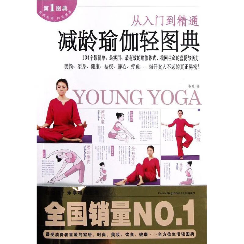 减龄瑜伽轻图典