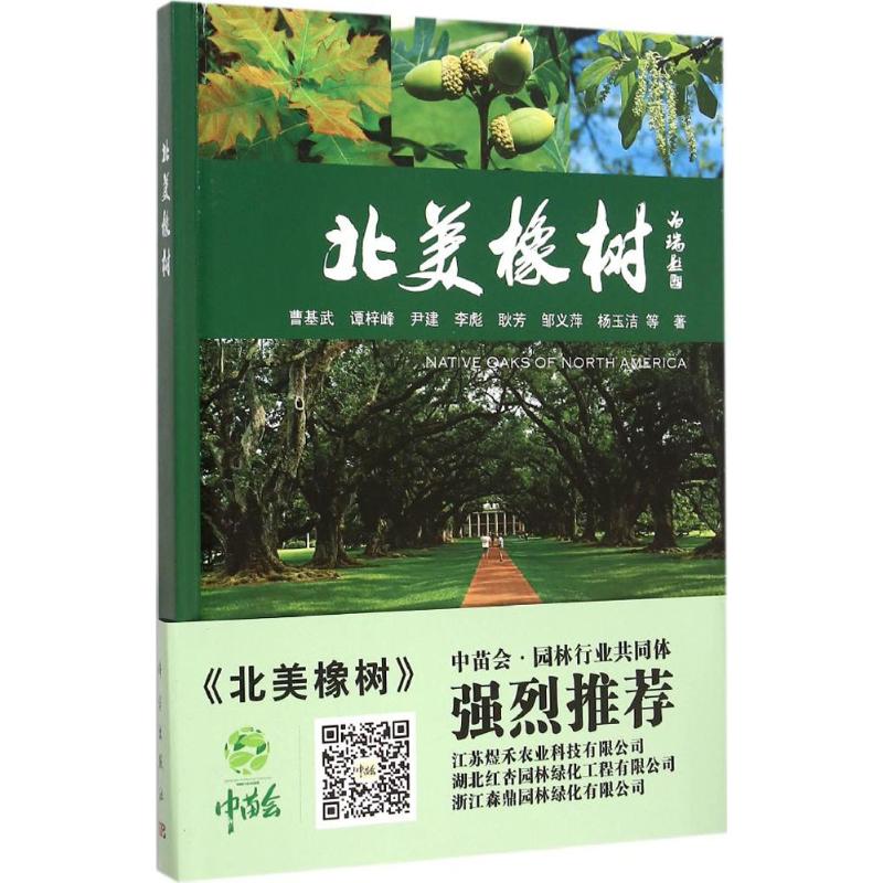 北美橡树