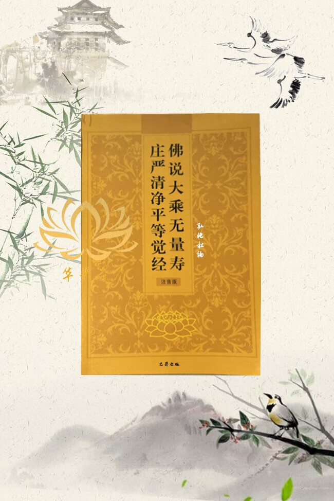 结缘佛说大乘无量寿庄严平等觉经读诵本大字横版带注音无量寿