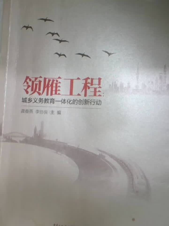 领雁工程