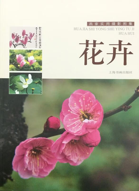 包邮：花卉-画家实用摄影图集 摄影 花卉艺术摄影摄影集中国现代  图书